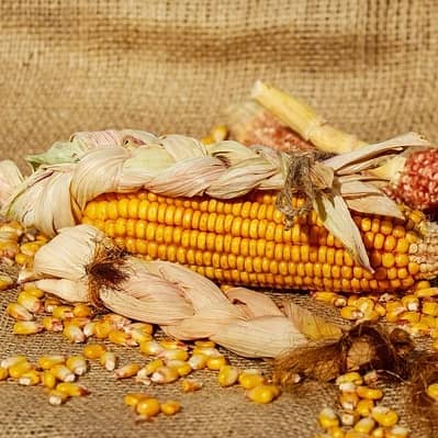 Maïsbloem 1kg - Alles voor de thuisbakker
